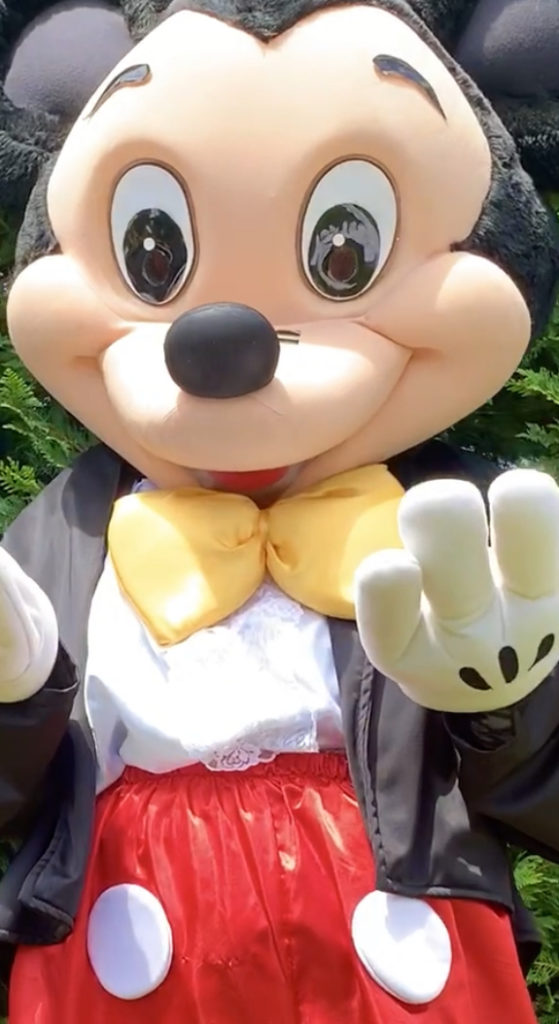 Hire Birthday Party Characters Near Me - Kids Party Entertainment!